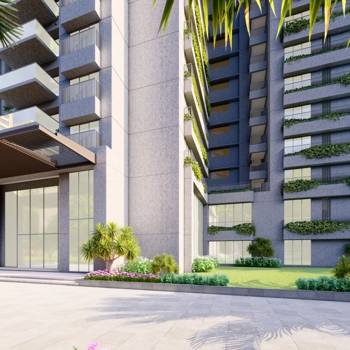 The Sovereign – Ashima - 99studio